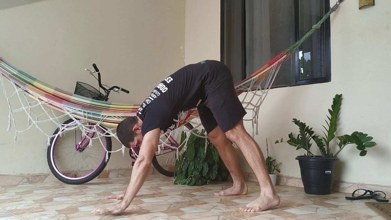 Bear push up down dog alt. - YouTube