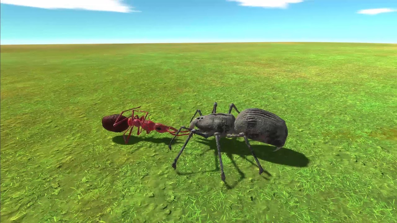 SPIDER vs ANT (Animal Revolt Battle Simulator) - YouTube