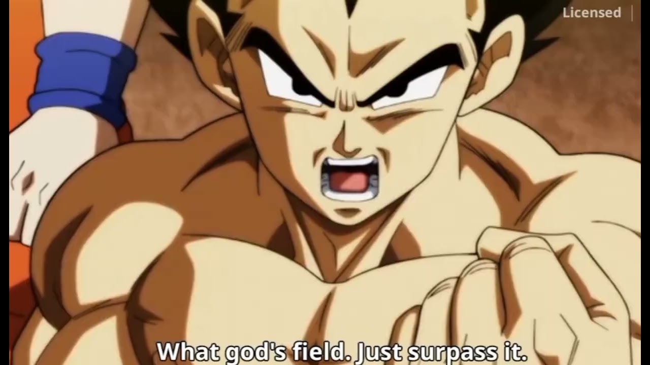 Vigita Intrusted everything to Goku just defeating jerin | dragon ball ...