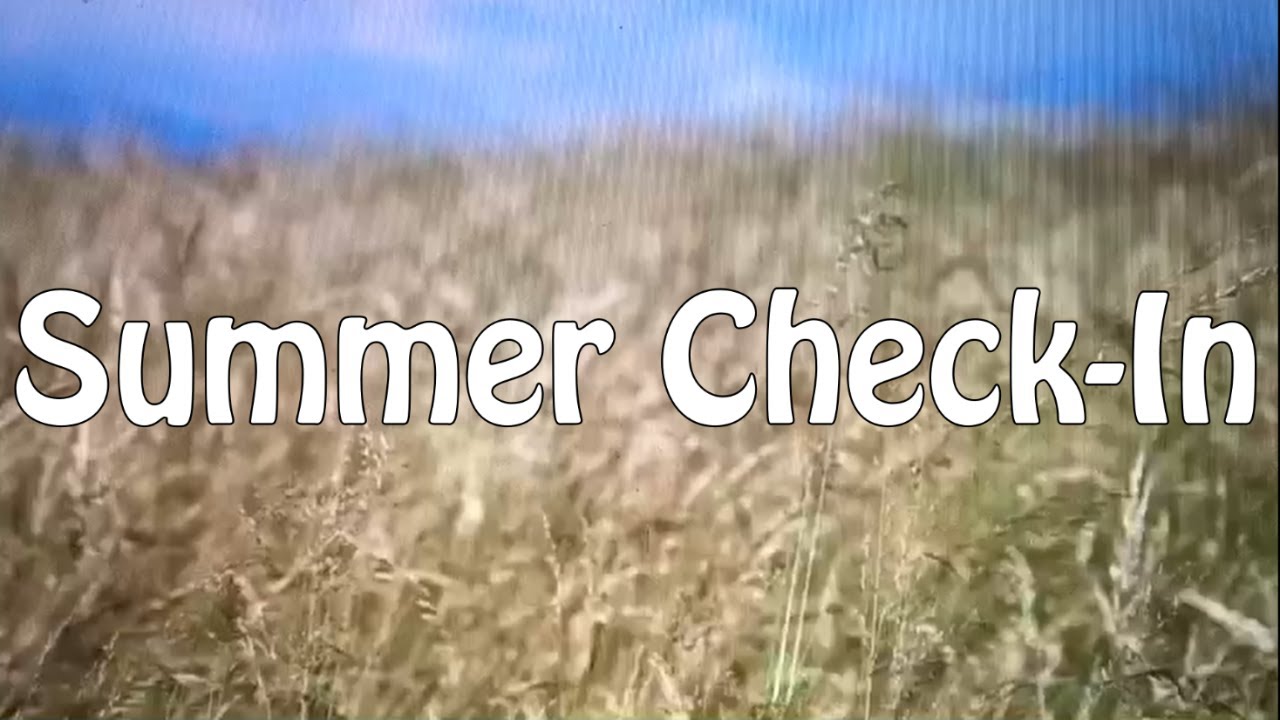 Summer Check-In Livestream - YouTube
