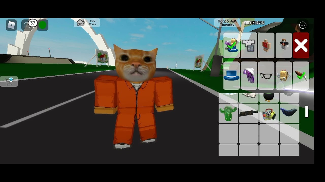 how to become a cat in Brookhaven - YouTube