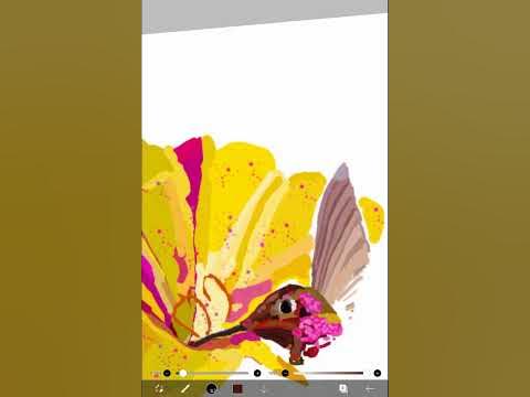Hummingbird Flutter - YouTube