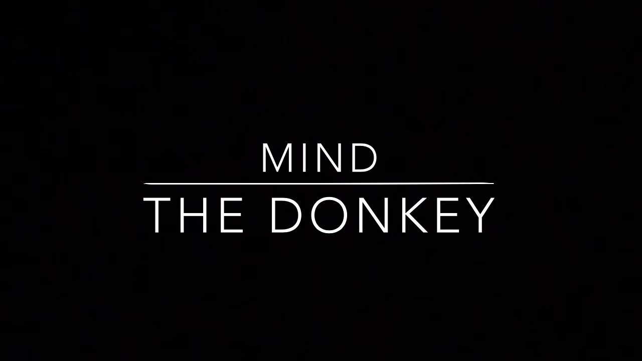 Mind - The Donkey - YouTube
