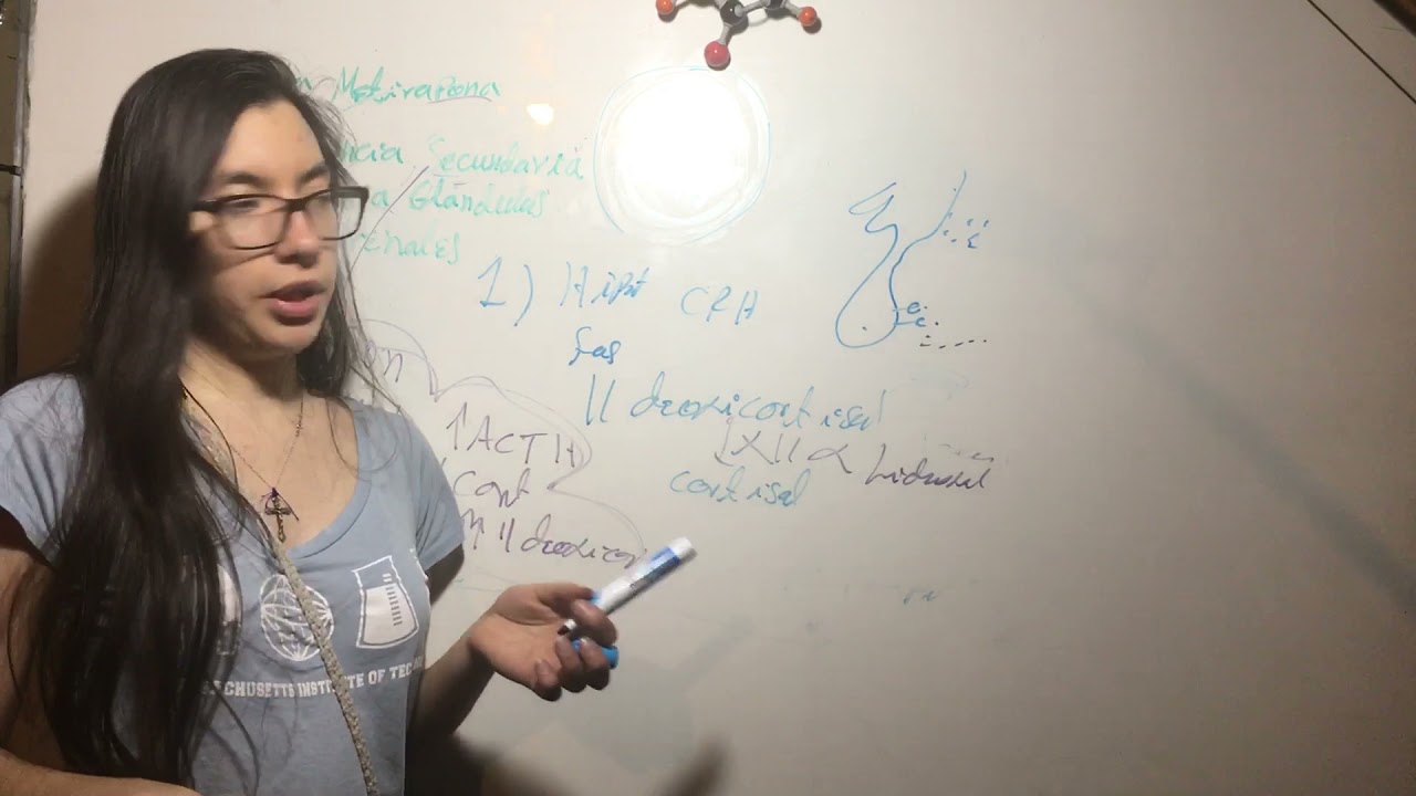 Prueba de Metirapona en un Paciente con Insuficiencia Secundaria o ...