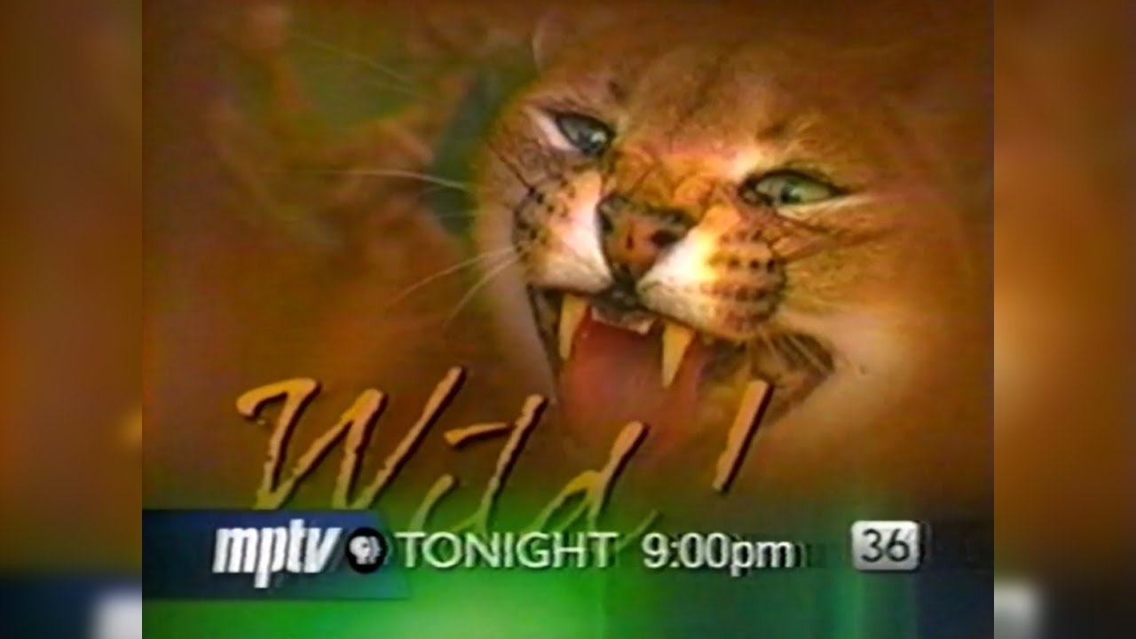 00's Promos - MPTV PBS April 13th, 2008 - YouTube