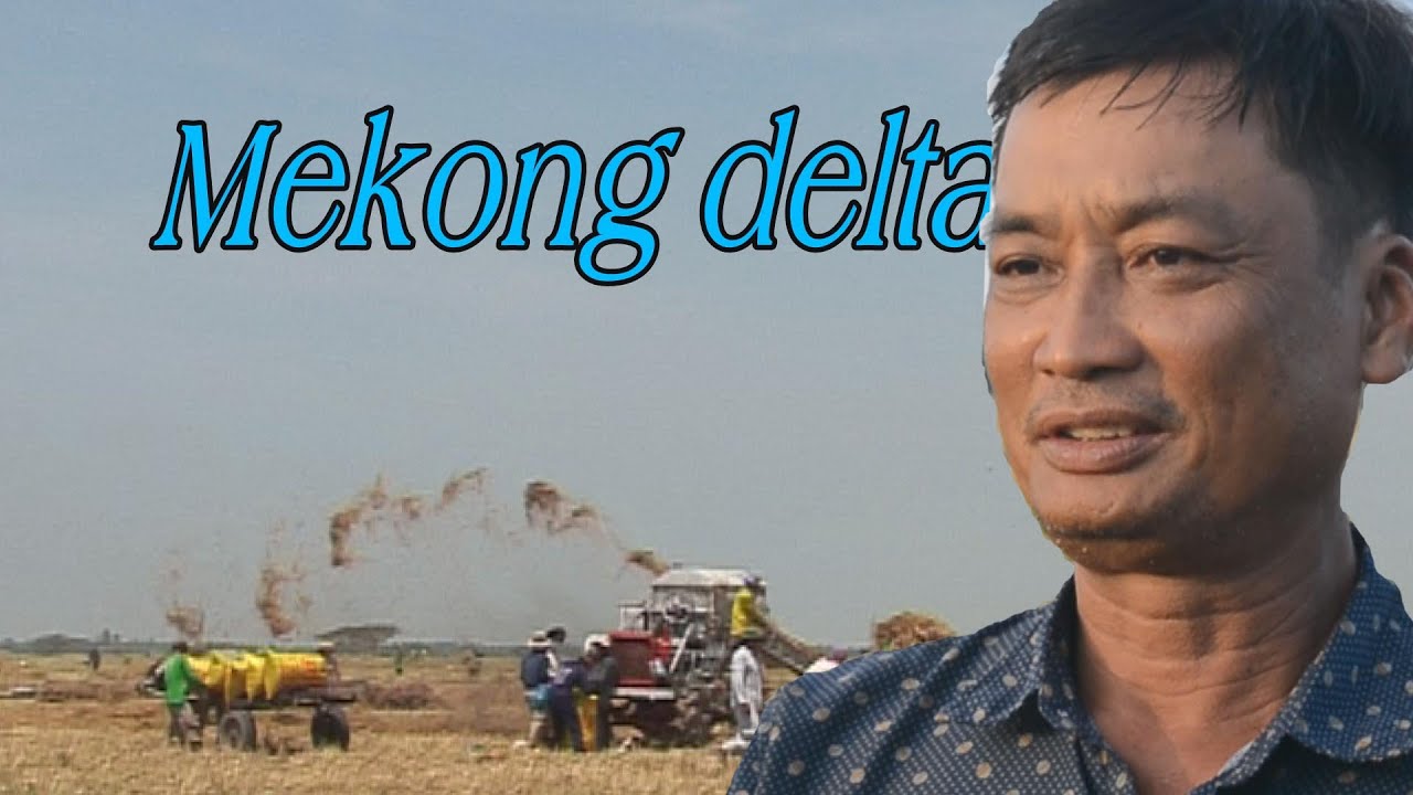 Nông dân vượt khó làm giàu ở đồng bằng sông Mekong, Việt Nam - YouTube
