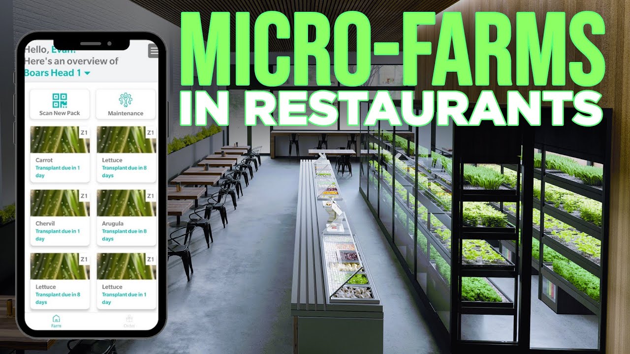 Micro-Farms in Restaurants & Retail | Babylon Micro-Farms CEO Interview ...