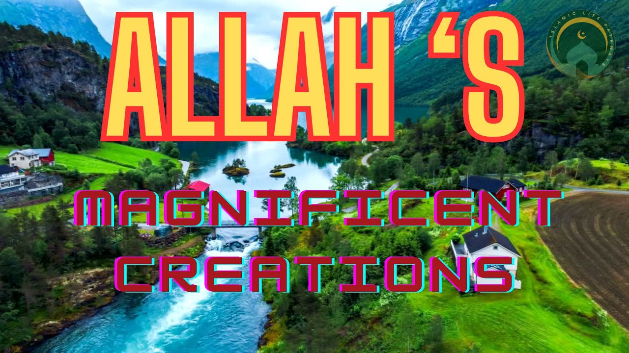 Exploring the Grandeur of Allah: The Magnificent Creator #Allah # ...