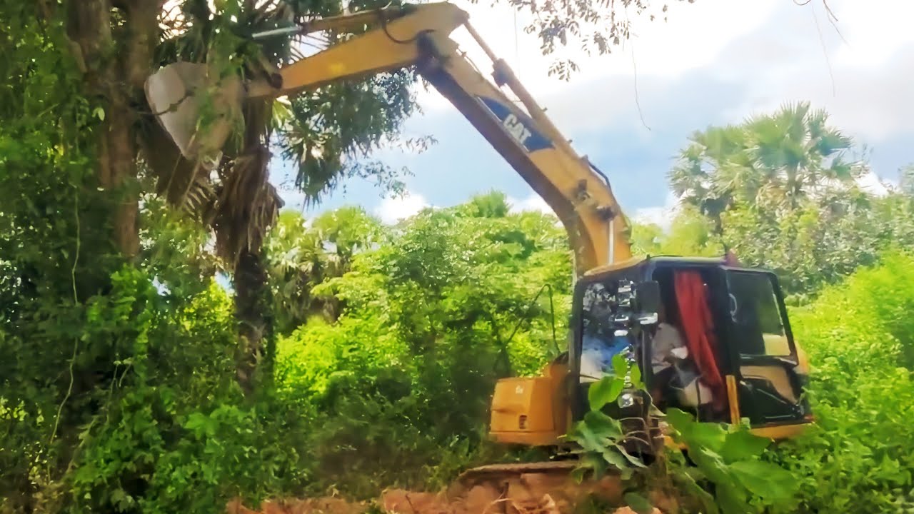 Amazing Ingenious Skill Heavy Logging ! Tree Cutting With CAT Excavator ...
