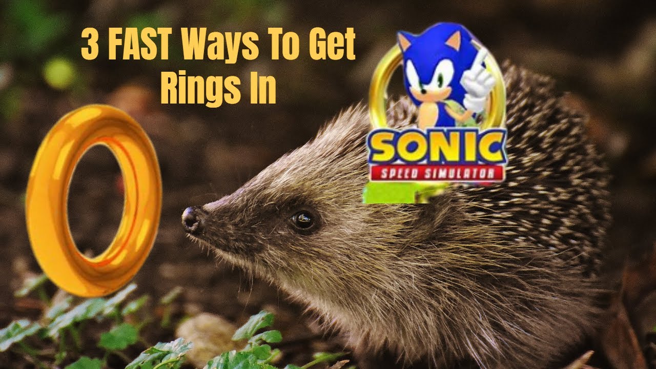 3 FAST Ways To Get Rings In Sonic Speed Simulator! - YouTube