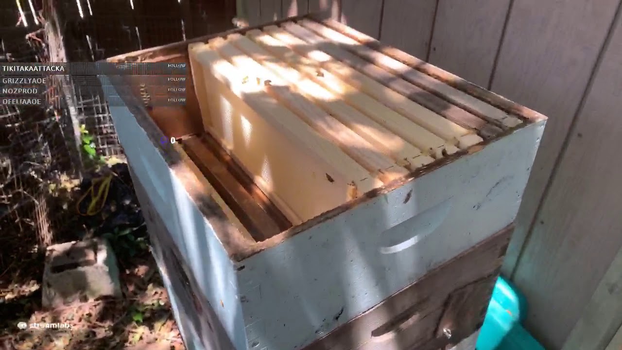 Moving the Hive Step 2 of 3 | Bees - YouTube