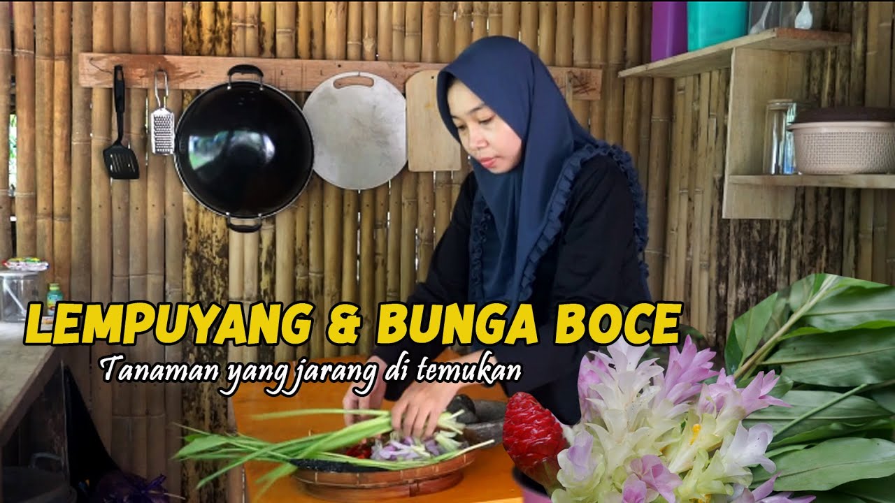 Masak sayur Lempuyang & Bunga boce,Tanaman yang banyak manfaat dan ...