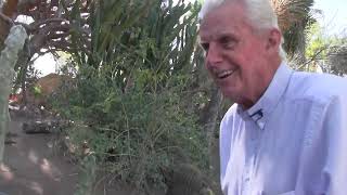 ODP Moorten Botanical Garden Web Exclusive