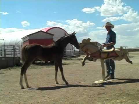 Absolut Frenchman - YouTube