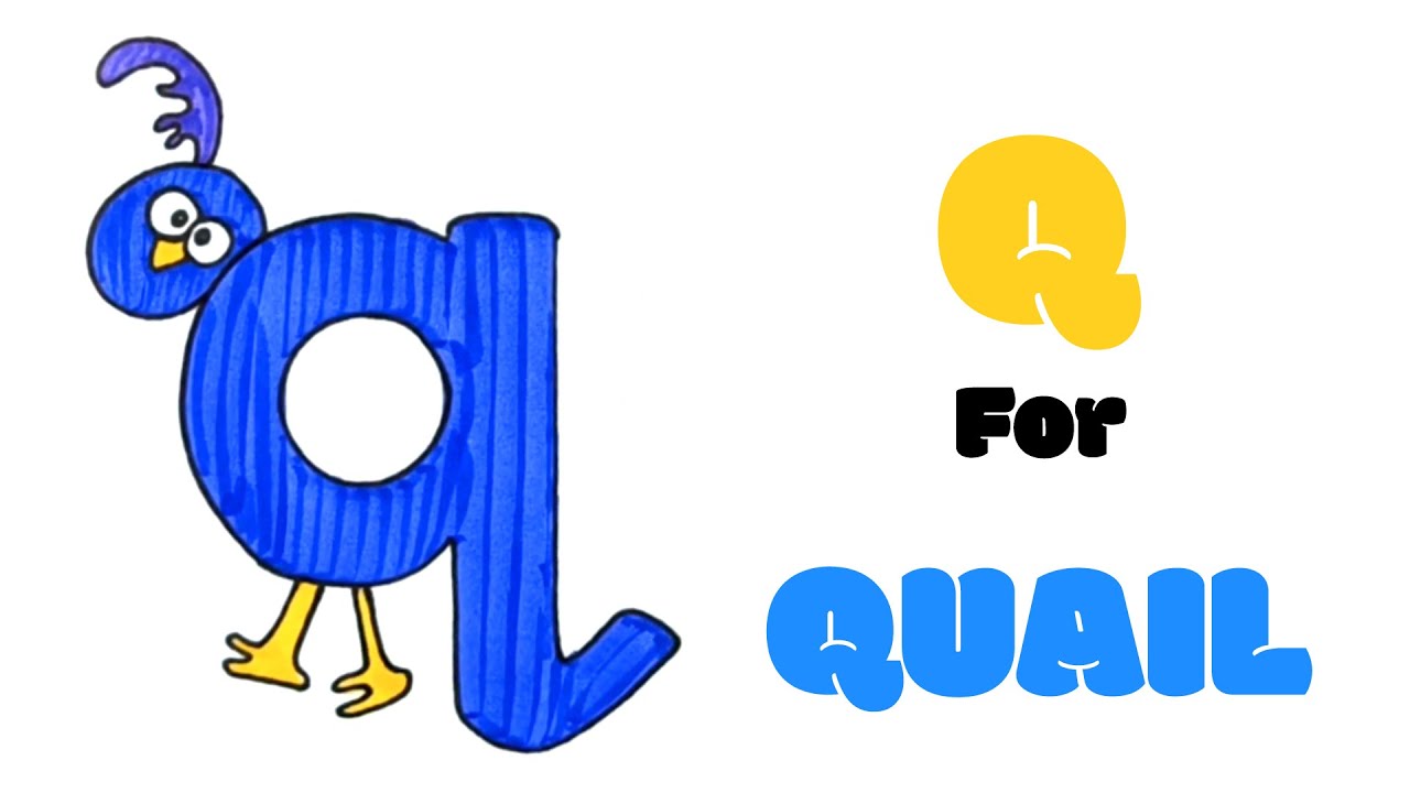 How to Draw Quail with Letter Q | Quail Drawing for Kids | Draw Dots ...