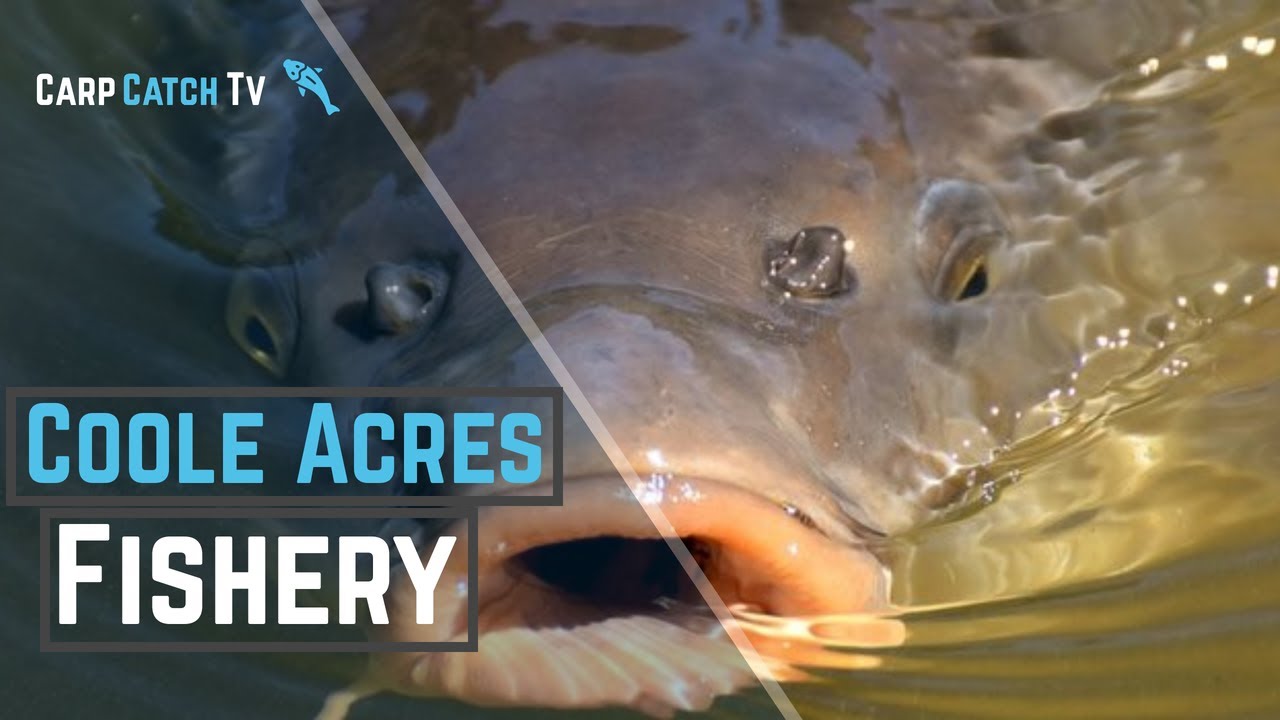 Coole Acres Fishery - Carp Fishing - YouTube