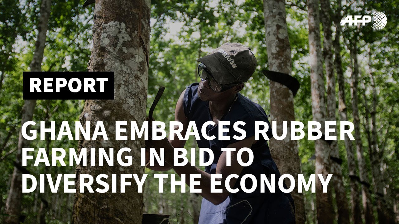 Ghana: rubber brings bounce back to economy | AFP - YouTube