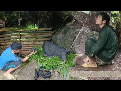 Full video 5 days to complete the challenge of experiencing farm bran ...