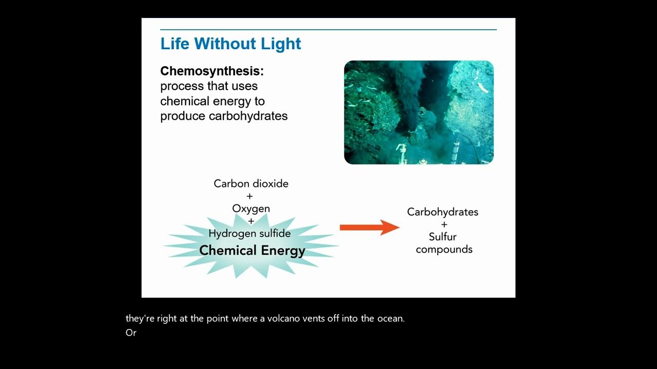 Biology Lecture 3.1D - Life Without Light - YouTube