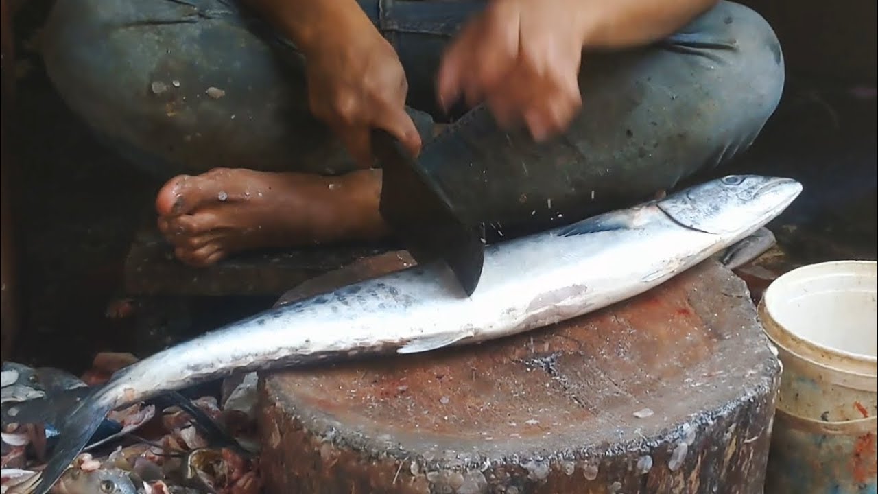 Surmai king fish cutting skills best technique fishing - YouTube