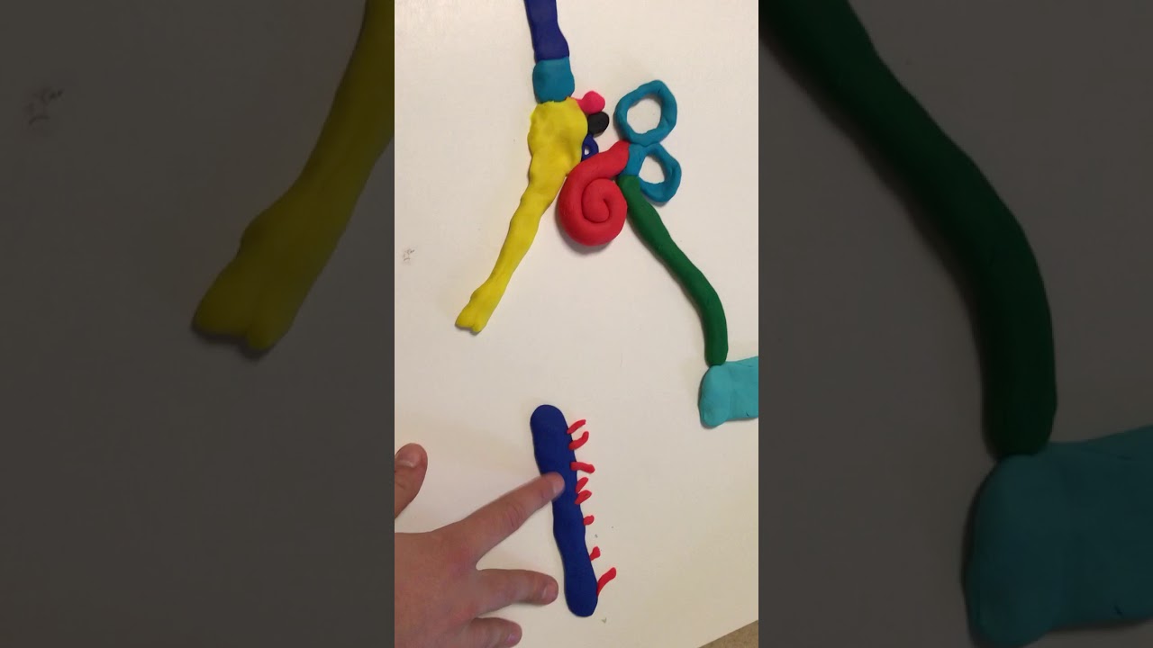 Play doh ear part 1 of 2 - YouTube