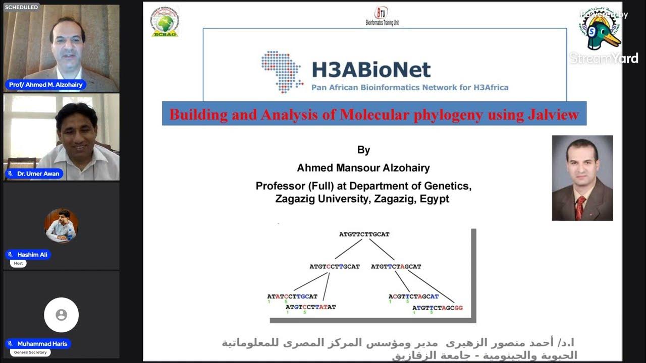 Building and Analysis of Molecular phylogeny using Jalview Part1 (English Intoduction) - YouTube