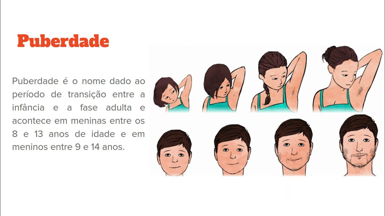 6ª Semana - 8º Ano - Puberdade - YouTube