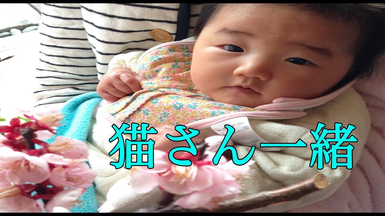 梓と猫! Azusa with cat 梓 0歳 azusa 0year old - YouTube