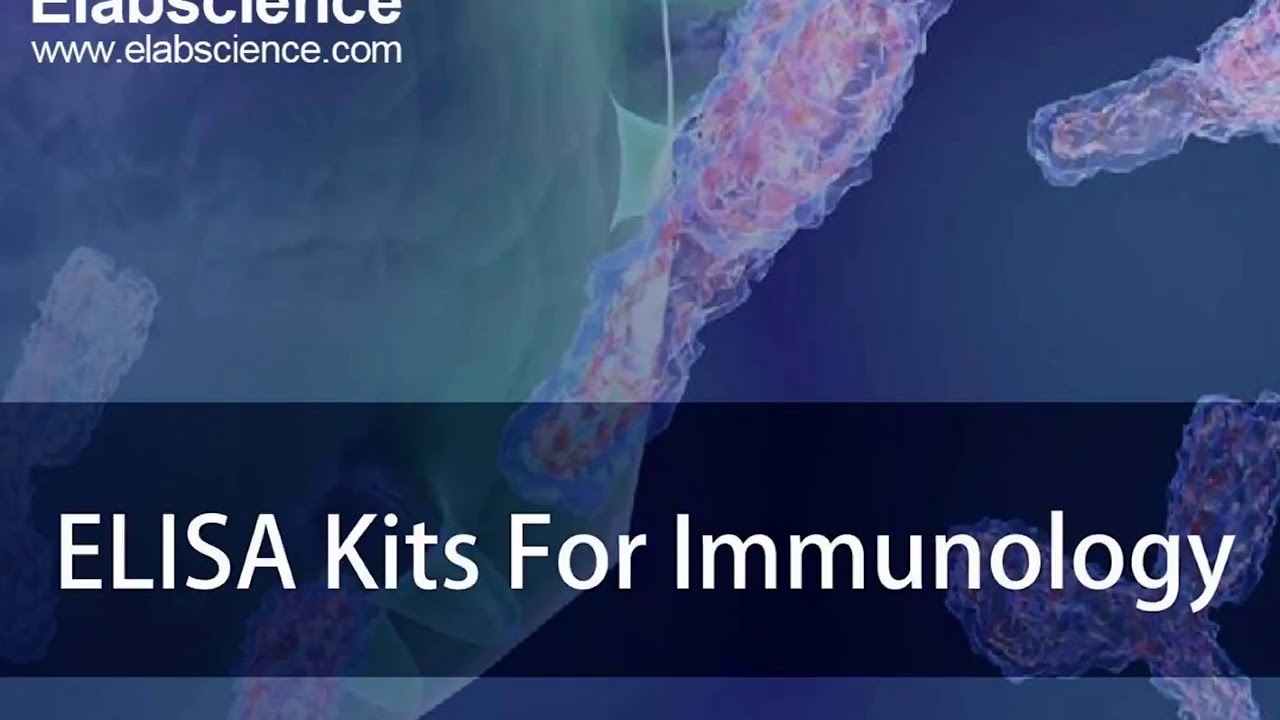 Elabscience：ELISA Kits - YouTube