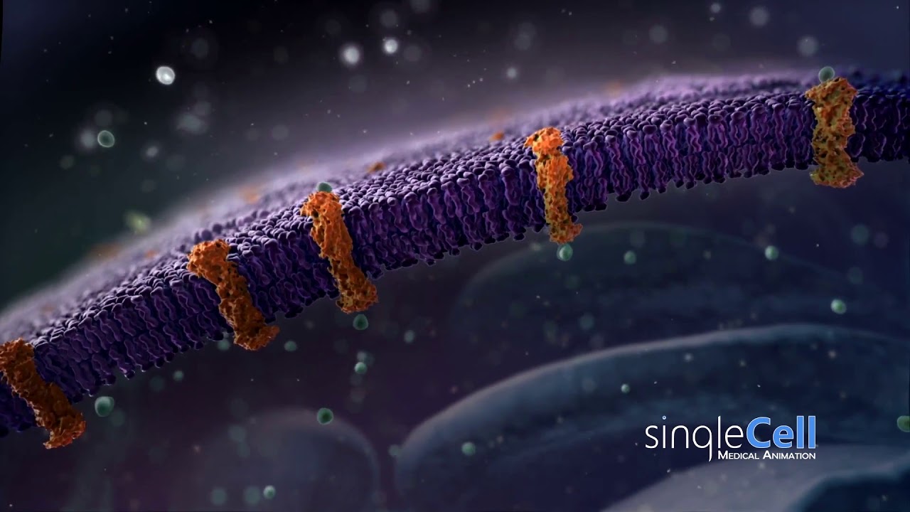 Research with an Impact Dr Matthew Griffith, Physics Lecturer - YouTube