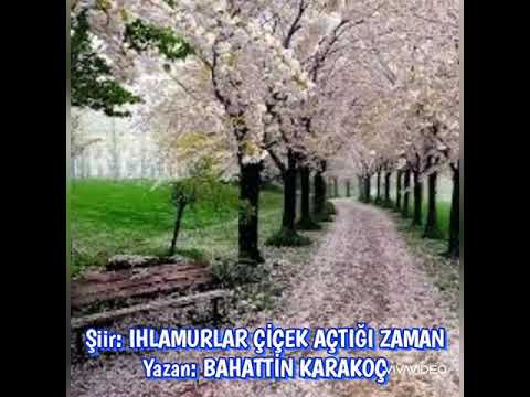 Şiir: IHLAMURLAR ÇİÇEK AÇTIĞI ZAMAN Yazan: BAHATTİN KARAKOÇ Seslendiren: AYŞE YAKUP