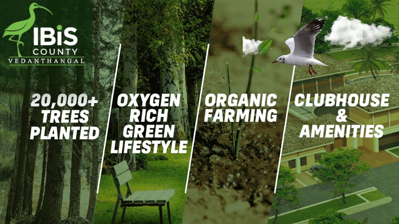 RWD IBIS COUNTY : Farm Land For Sale in Vedanthangal, Chengalpattu ...