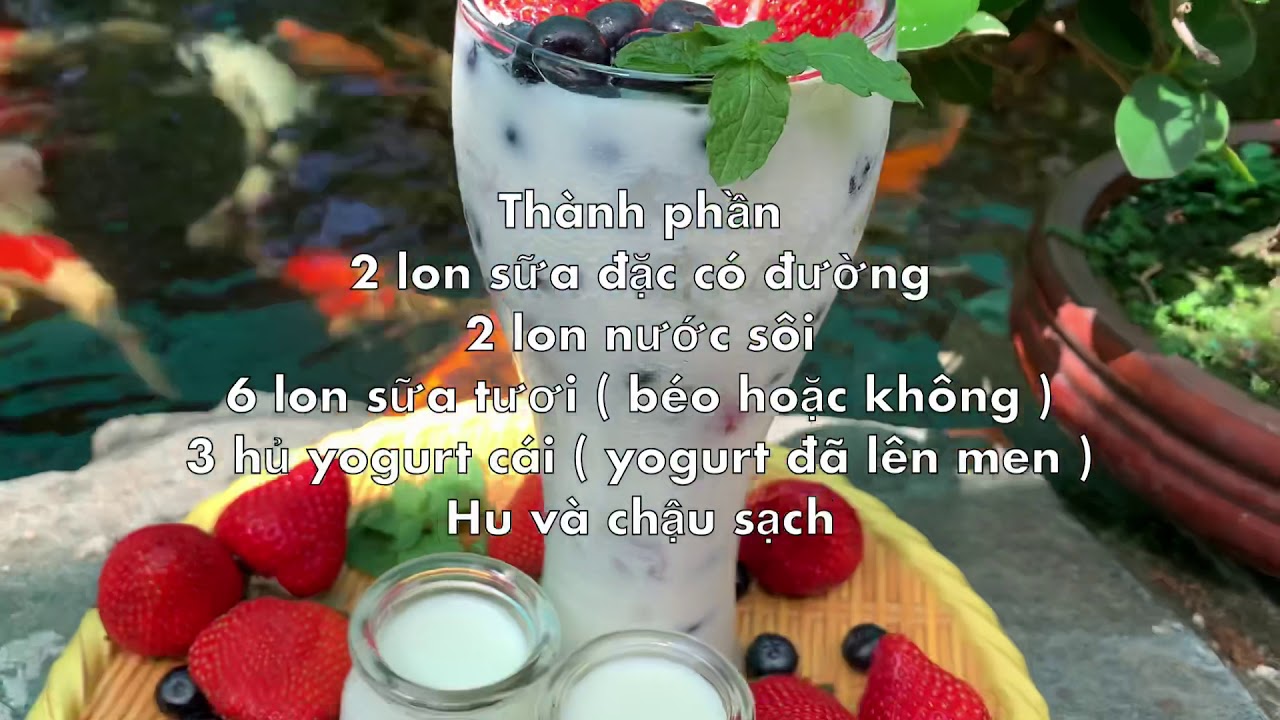 Yogurt Vietnam | VyTu Cooks - YouTube