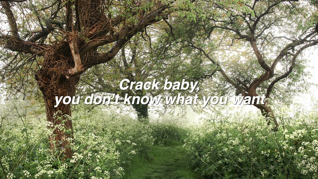 Crack Baby - Mitski (lyrics) - YouTube