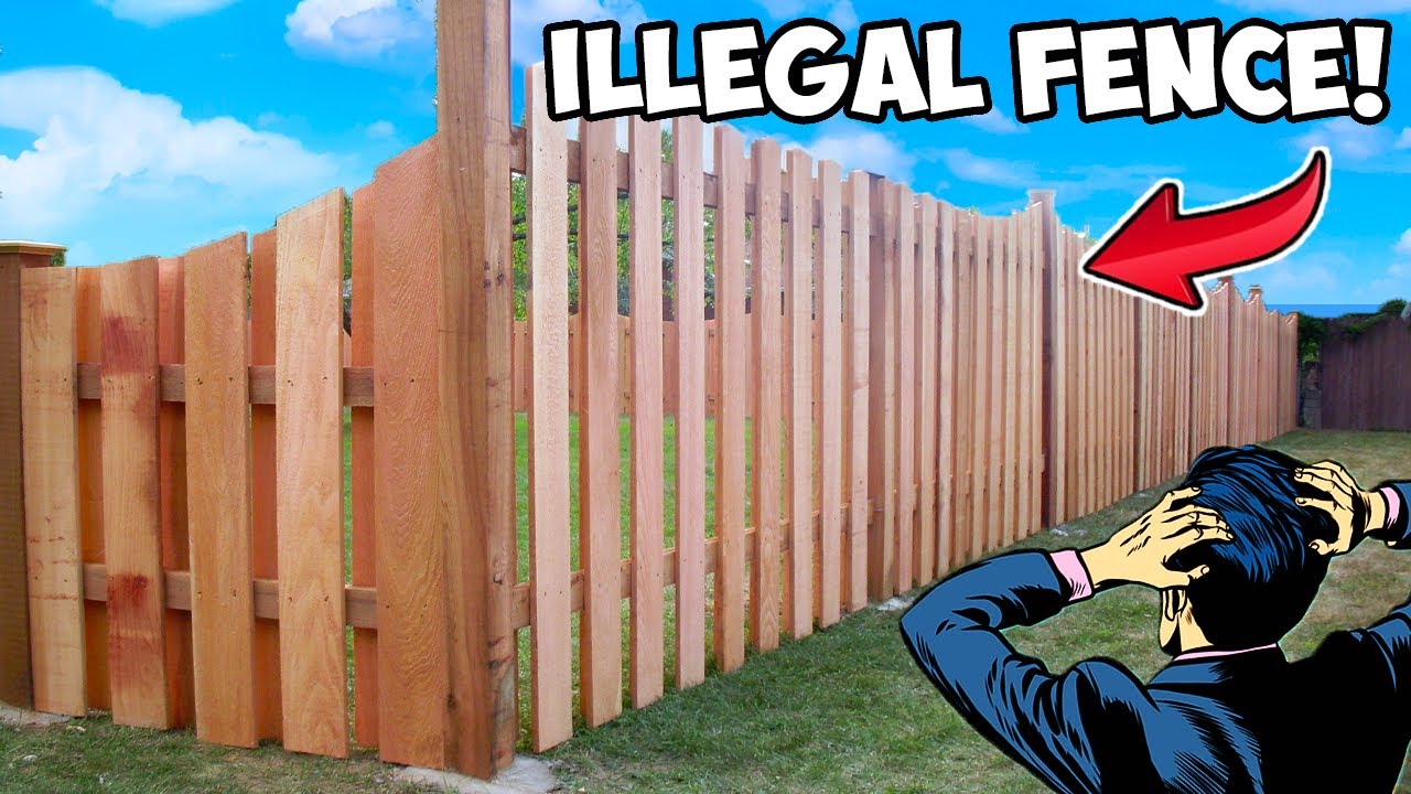 Neighbor Built Fence Through My Garden to Steal my Property! r ...