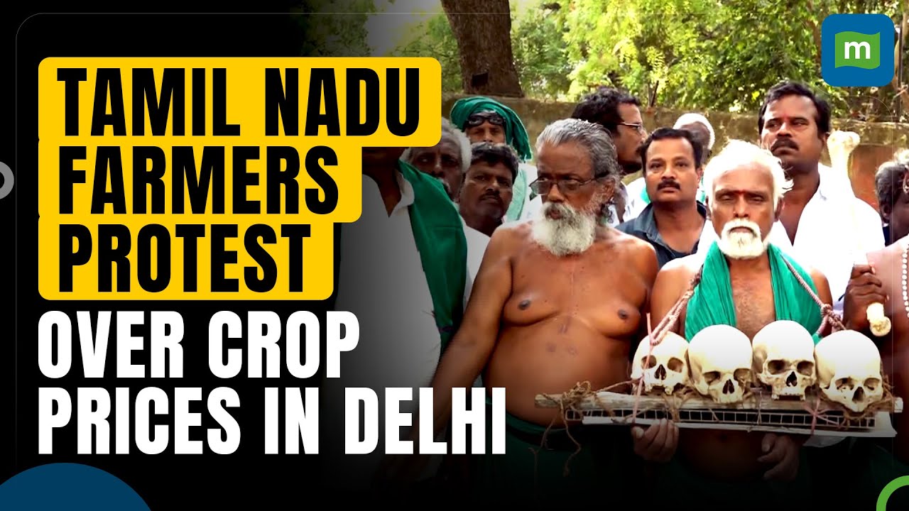 Tamil Nadu Farmers Protest At New Delhi's Jantar Mantar Demanding ...