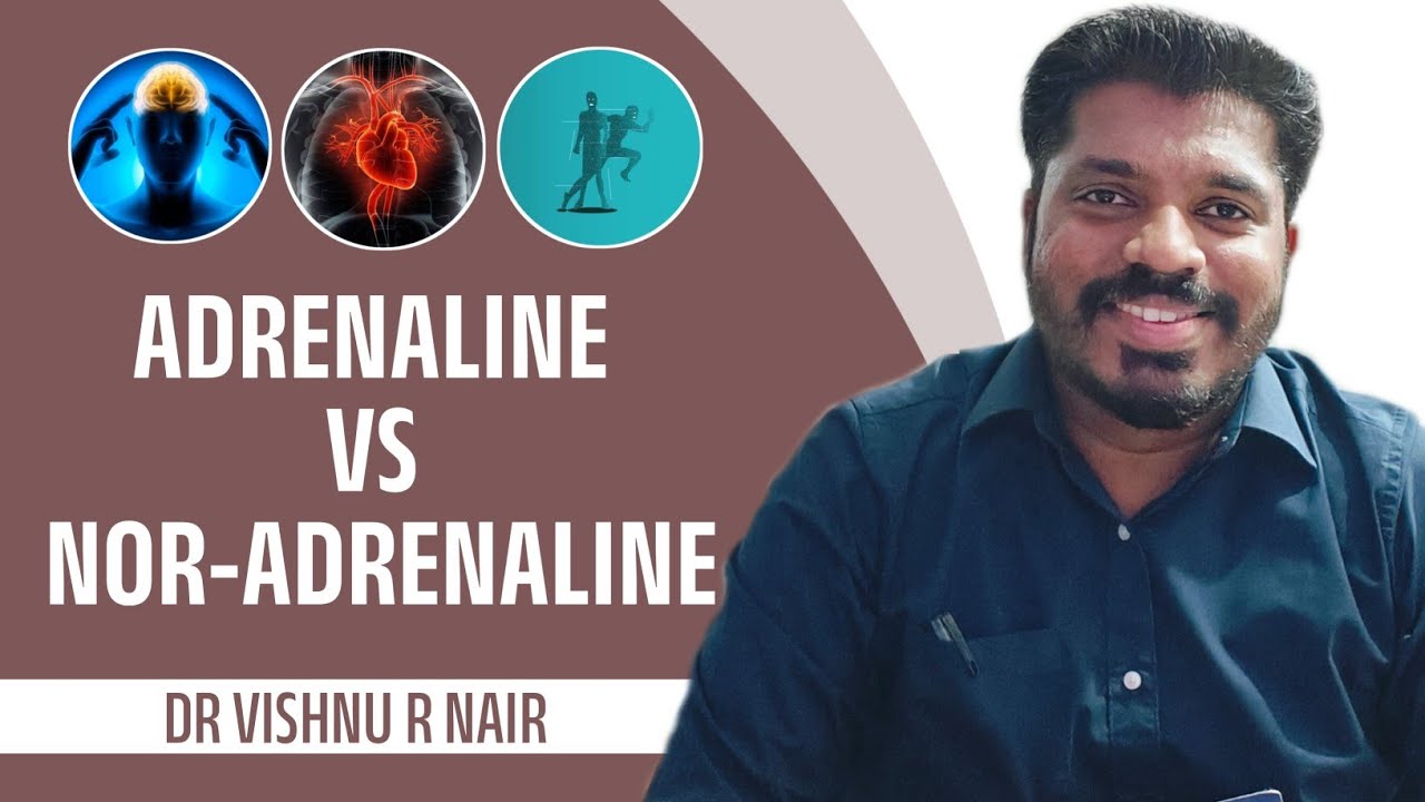 Adrenaline VS Nor-adrenaline | Dr Vishnu R - YouTube