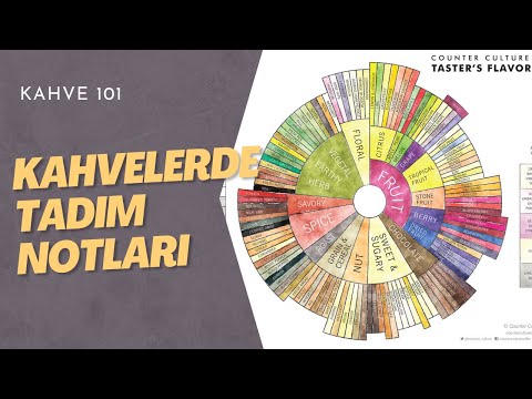 Kahve Tadım Notu Nedir? Tadım Notu Nasıl Algılanır? - Kahve 101