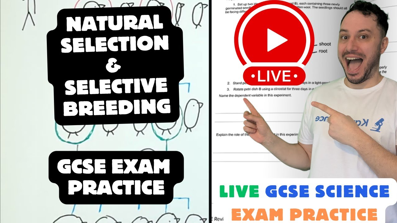 ALL OF GCSE BIOLOGY SELECTION IN 1 HOUR FREE TUITION - YouTube