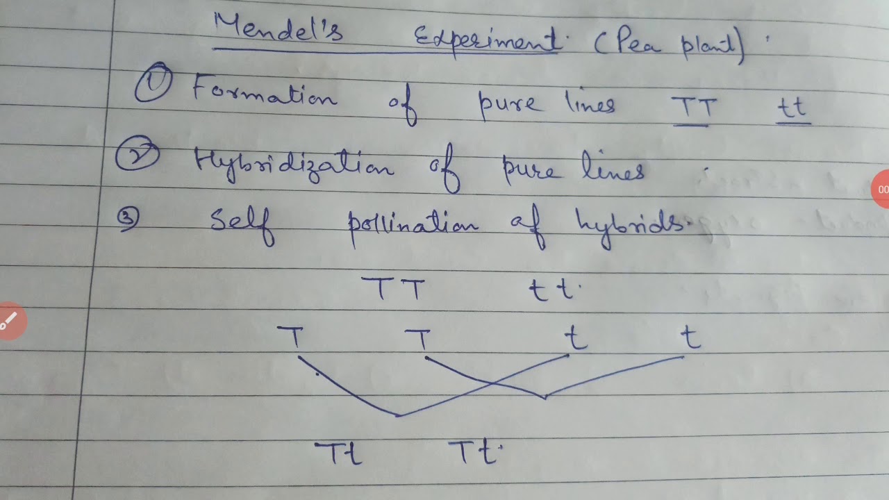 Heridity and evolution by bhat rais - YouTube