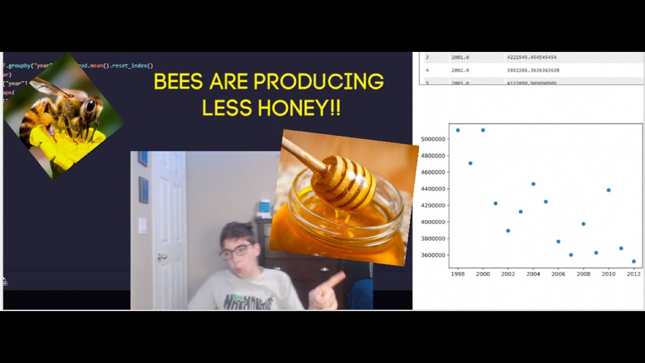 Using Linear Regression to Model Bee Production of Honey - YouTube