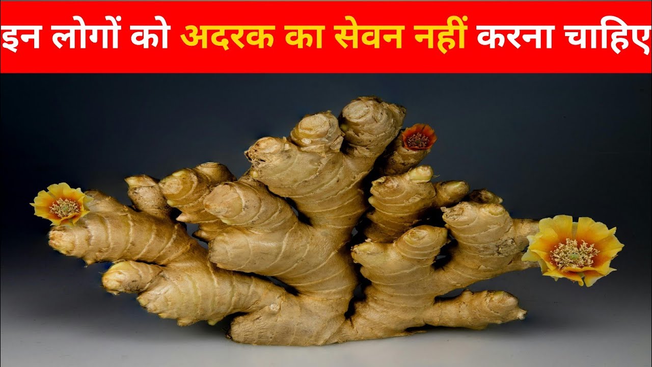 अदरक खाने के नुकसान | Disadvantages of eating ginger - YouTube