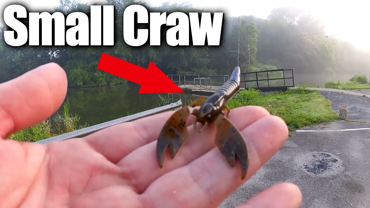 Bass Fishing a Small Craw Texas Rig + EPIC Fishing Mail Unboxing - YouTube