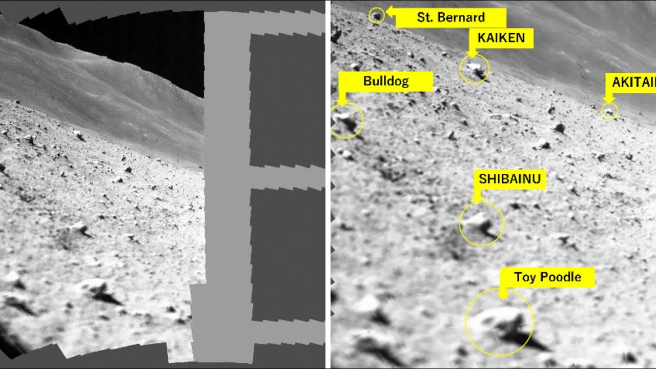 Japan has successfully transmitted the first image of its SLIM Lander ...