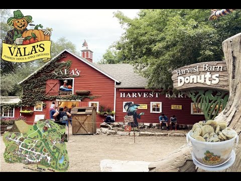 The Most Outrageous Pumpkin Patch ever, Vala's Pumpkin Patch & Apple ...