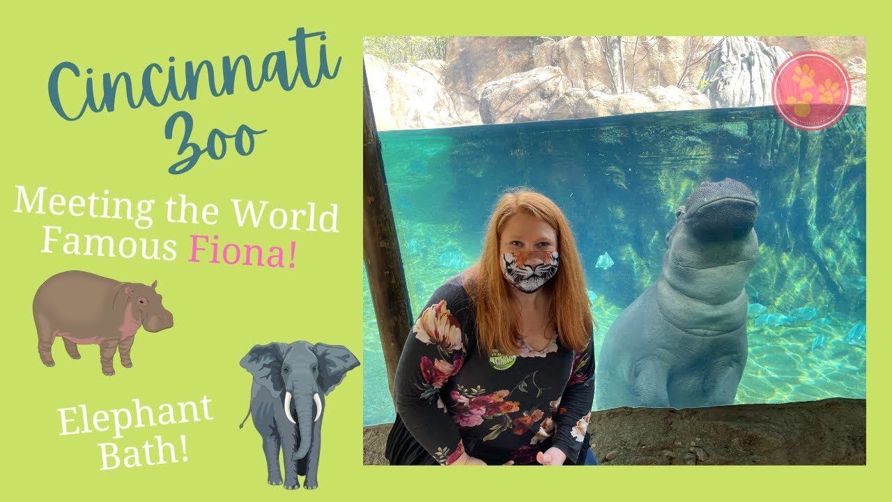 Cincinnati Zoo Vlog | Day 1: MEETING FIONA, ELEPHANT BATH | April 2021 ...
