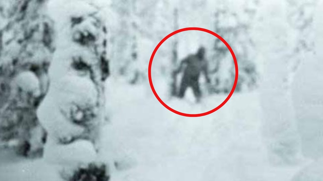 The Mystery of the Almasty - YouTube