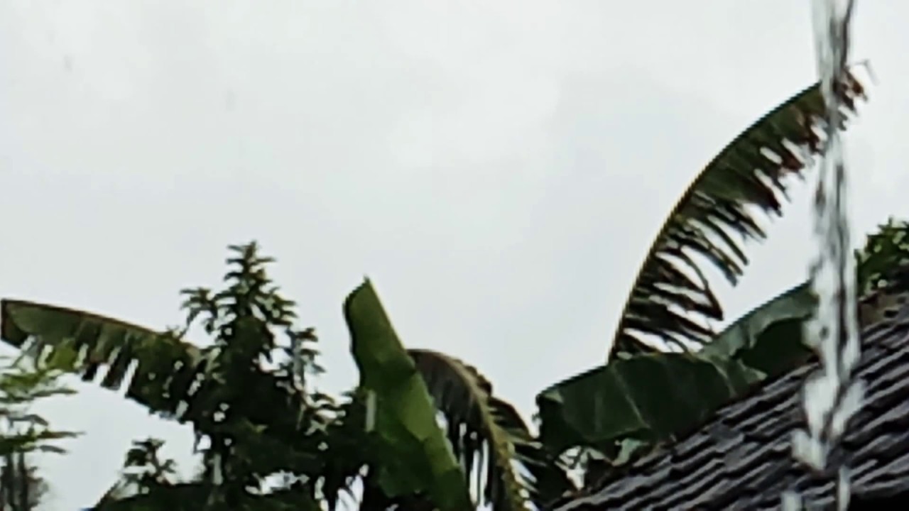 Air pancuran atap untuk relaksasi - YouTube