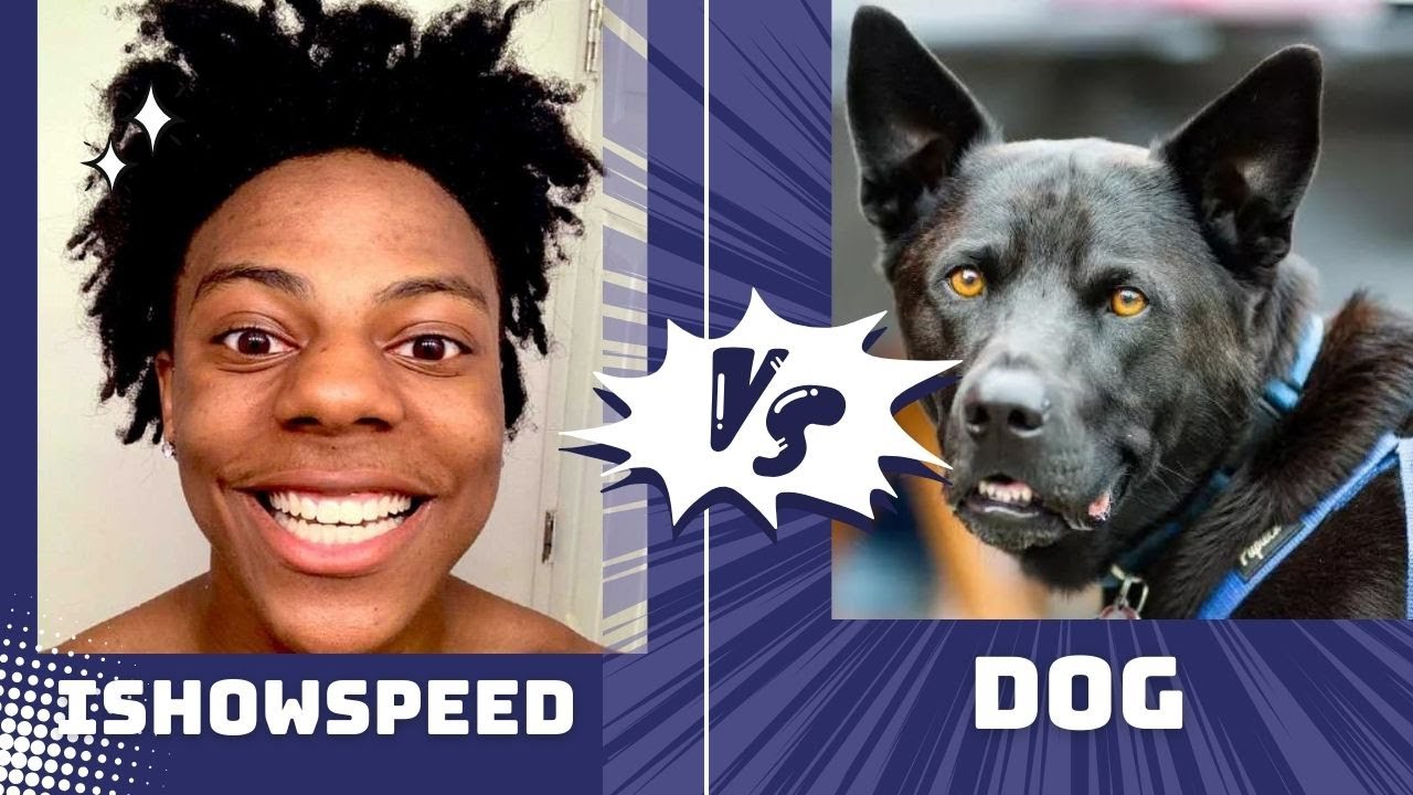 iShowSpeed vs poland's dog - YouTube