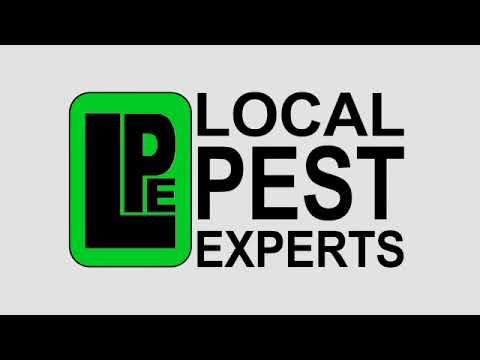 Local Pest Experts pest control TV ad - YouTube